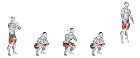 Double Jump Squat Home Gym Review