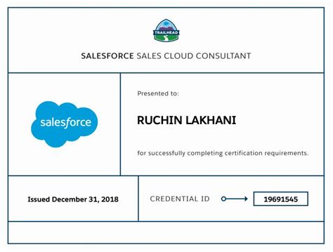 Ruchin Lakhani On Linkedin Consultant Salesforce
