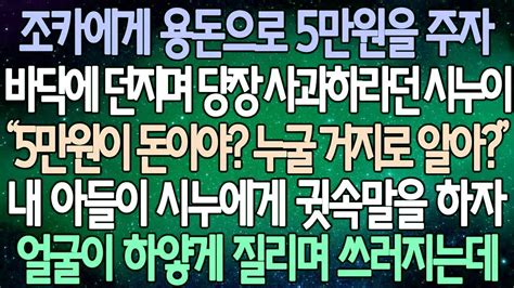 반전 사연 조카에게 용돈으로 5만원을 주자 땅바닥에 던지며 당장 사과하라던 시누이 내 아들이 시누에게 귓속말을 하자 얼굴이 하얗게 질리며 쓰러지는데 사이다사연라디오