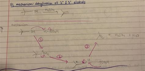 Ochem Quiz 4 Flashcards Quizlet