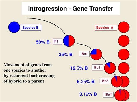 Admixture Vs Introgression Is There A Difference Gene Expression