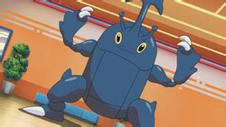 Pokemon 214 Heracross Pokedex Evolution Moves Location Stats