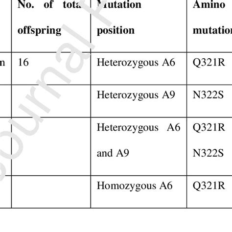 Summary Of The Manipulation And Genotyping Of Newborn Mice Download Scientific Diagram