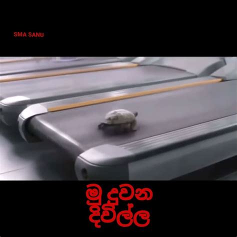 මු දුවන දිවිල්ල Youtube