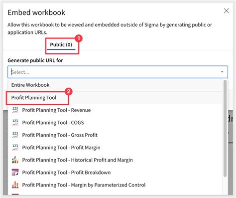 Embedding 02 Public Access