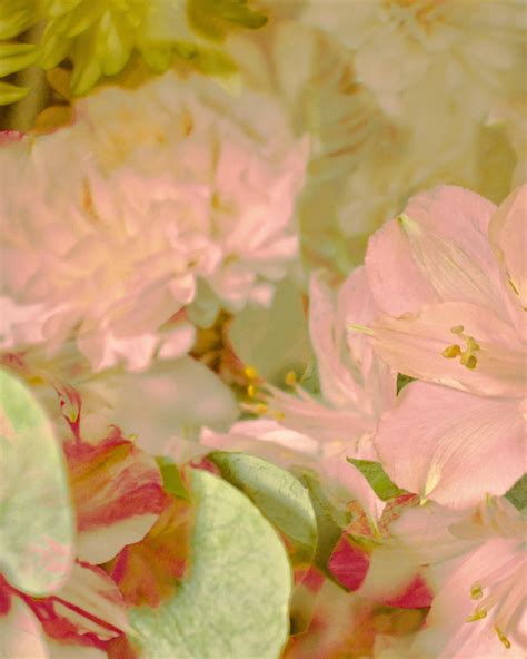 Hanna Sofia Hannnasofiaa • Instagram Photos And Videos