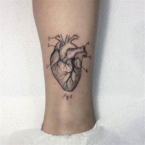 Two Anatomical Hearts Tattoo