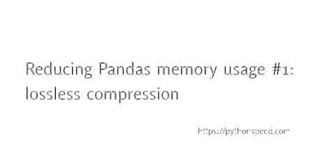 Reduce Pandas Memory Usage By Loading Less Data Rpython