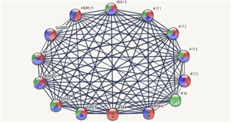 Strategies For Detecting And Identifying Biological Signals Amidst The Variation Commonly Found
