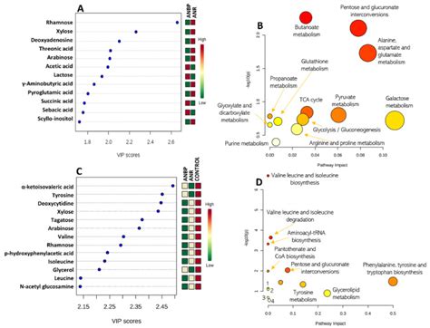 The Gut Microbiome And Metabolomics Profiles Of Restricting And Binge