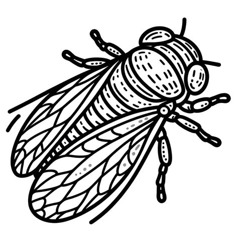 Dibujar Cigarra 5 Para Colorear Imprimir E Dibujar Coloringlib