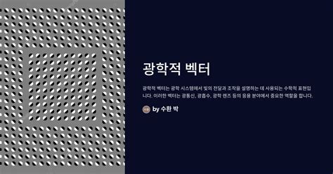 광학적 벡터