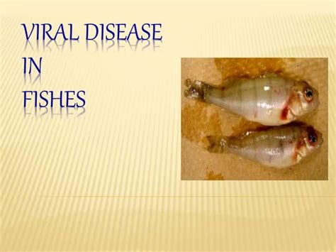 Viral Disease Pptx