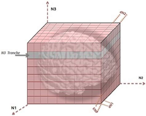 Spatial Representation Of A 3 D Image Download Scientific Diagram