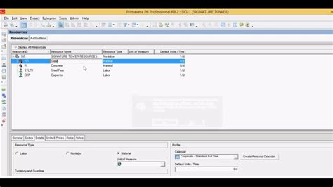 Primavera P6 Resources In Primavera P6 Youtube