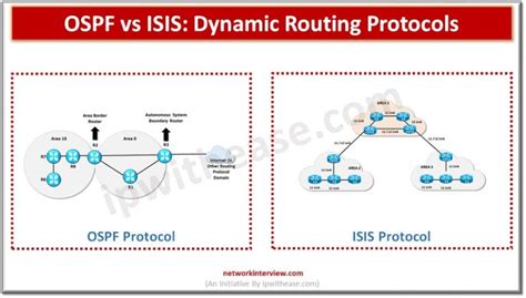 Ospf Vs Isis Dynamic Routing Protocols Network Interview