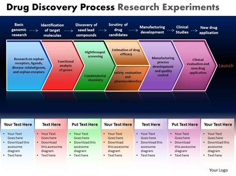 Drug Discovery Process Research Experiments Powerpoint Slides And Ppt Templates Db Powerpoint