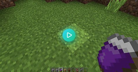 Mcpe Bug Album On Imgur