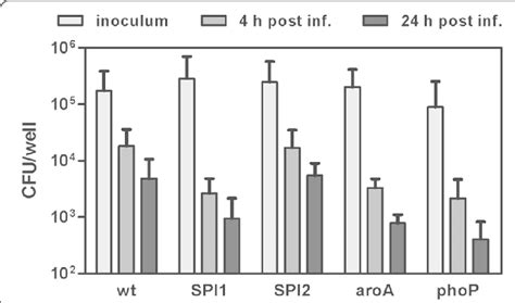 Invasion And Intracellular Survival Of The Wild Type S Enteritidis And