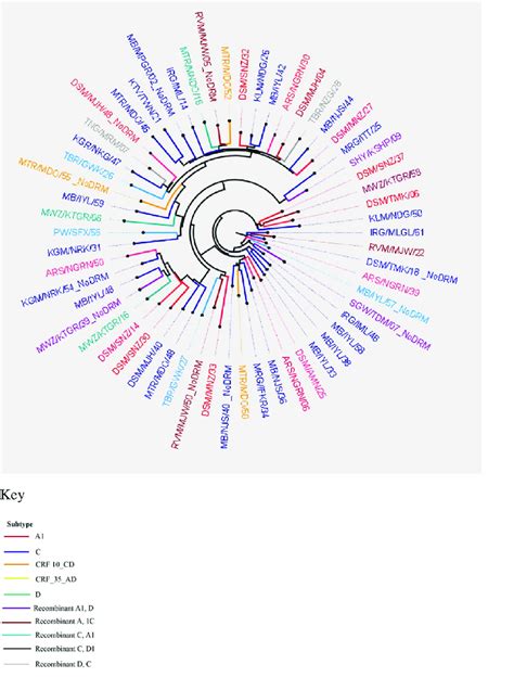 phylogenetic tree illustrating the distribution of hiv 1 subtypes among