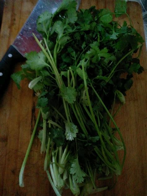 蒸香菜 太多 香菜丸子 大山谷图库