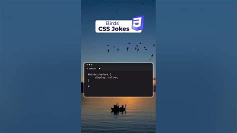 Birds Css Jokes Css Shorts Youtube