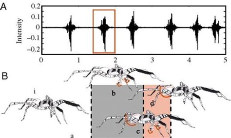 Multimodal Signals Flashcards Quizlet