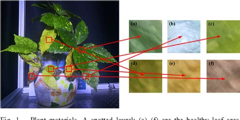 Figure 1 From A New Polarization Based Vegetation Index To Improve The