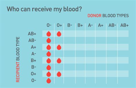 O Negative Blood Type Receive Ferypainting