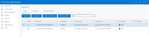 Environment Overview Dell PowerProtect Cyber Recovery Recovery From The Cyber Recovery Vault