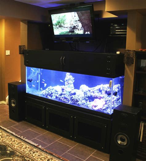 Building A Aquarium Canopy Reef Aquarium