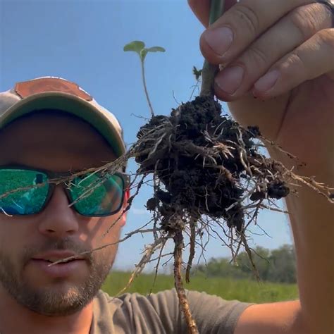 The Most Overlooked Food Plot Method