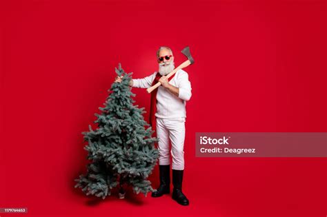 빨간 배경 위에 고립 된 흰색 풀오버 바지 부츠를 입고 전나무 나무를 들고 안경 안경과 멋진 목재 잭의 전체 크기 사진 12월에 대한 스톡 사진 및 기타 이미지 Istock