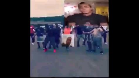 Free Camel Modded Apk No Virus Free Allah Download العثور على جمل الصبي الكبير في الشارع وصفة