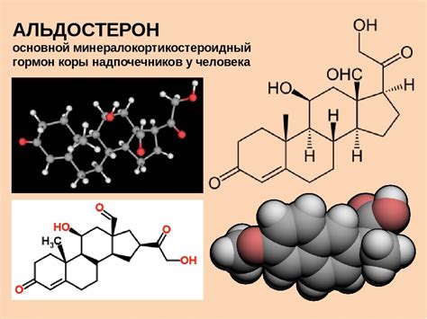 Соматотропный гормон :: описание, нормы, причины, клиники