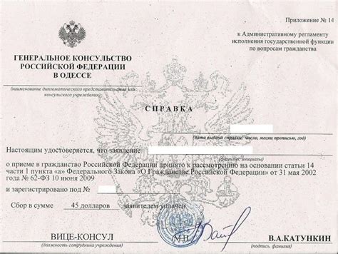 Подтверждение гражданства РФ в 2025 году для взрослого и ребенка