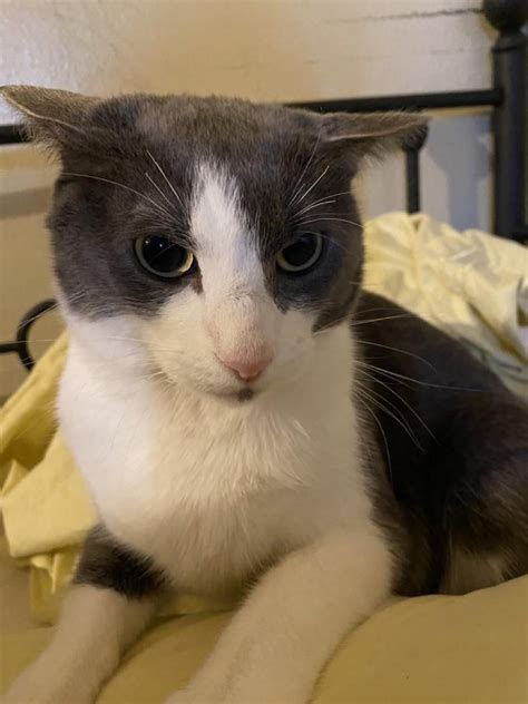 Dumpy 😋 Rcoolpictures1