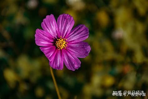 一个人对你是不是真爱，生一次“病”便能看出来 知乎