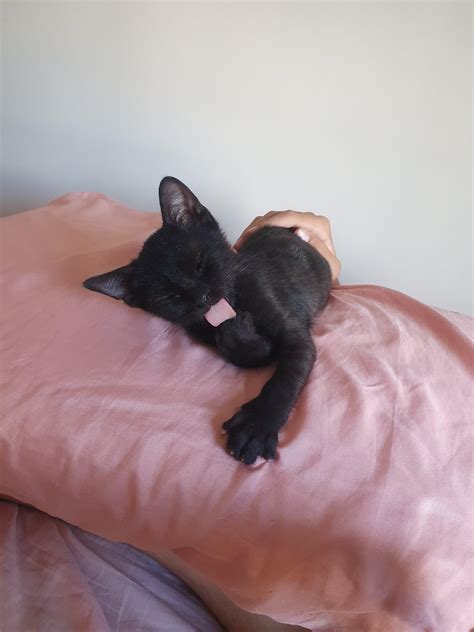 Kitty Scrolller