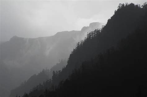 회색조 어둠과 빛 풍경 실루엣의 안개가 자욱한 산 가문비나무 소나무 침 엽 수 나무 구름에 싸여에 덮여 Paro 부탄 타이거의 둥지 수도원 근처에서 촬영 0명에 대한 스톡