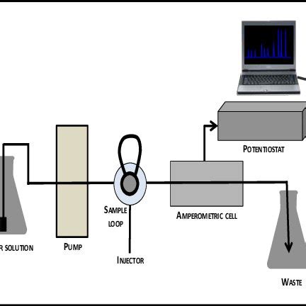 Schematic Diagram Of Flow Injection System Used In Our Study Download Scientific Diagram