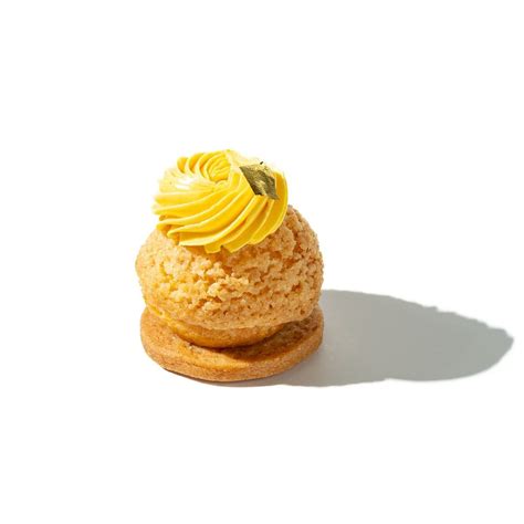 Citron Choux Sp