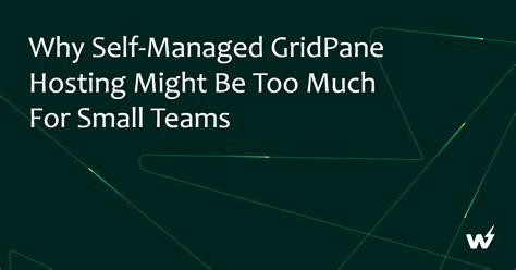Why Self Managed Gridpane Hosting Might Be Too Much For Small Teams