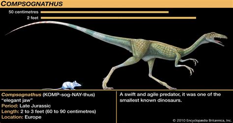 The Fastest Dinosaurs Unveiling The Speed Demons Of The Prehistoric