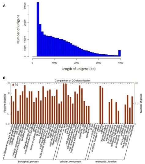 Frontiers Transcriptome Analysis Of Calcium And Hormone Related Gene