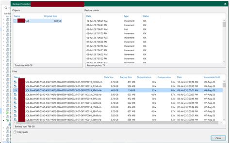 V12 Veeam Plug In For Ms Sql Vs Agent Based Image Backup Randd Forums