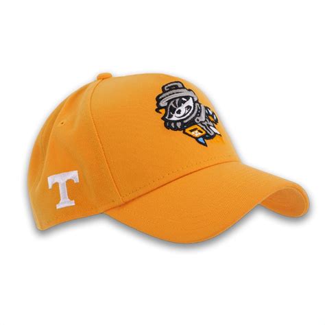 Rocket City Trash Pandas X Tennessee Volunteers Hat 2025