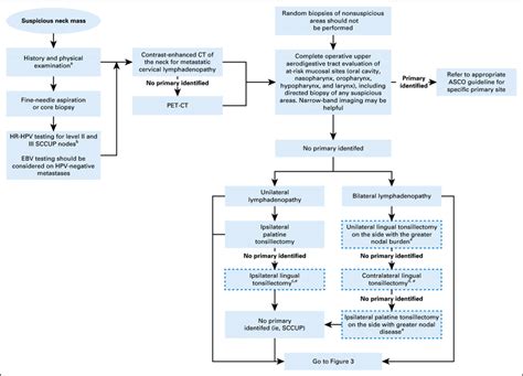 Diagnosis And Management Algorithm Of Squamous Cell Carcinoma Of Download Scientific Diagram