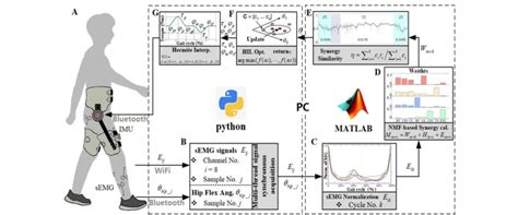 Human In The Loop Optimization Platform A The Subject Wearing The Hip Download Scientific