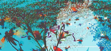 Complexity Science An Introduction With Examples And Resources